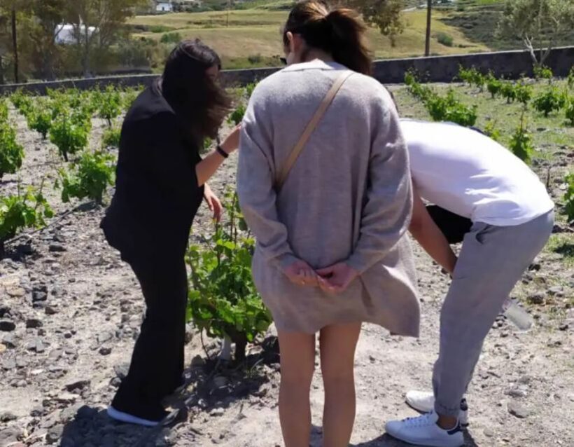 Santorini: Guided Highlights Tour with Private Wine Tasting - Practical Tips for Participants