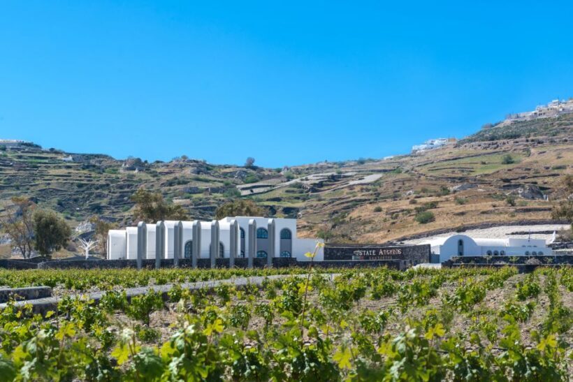 Santorini: Guided Wineries Private Tour with Wine Tastings - Final Thoughts