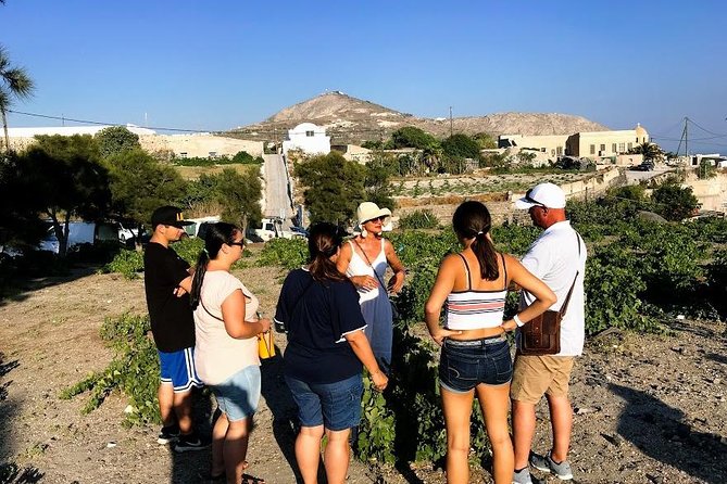 Santorini Half Day Wine Tasting & Winery Tour With Pickup - Additional Information