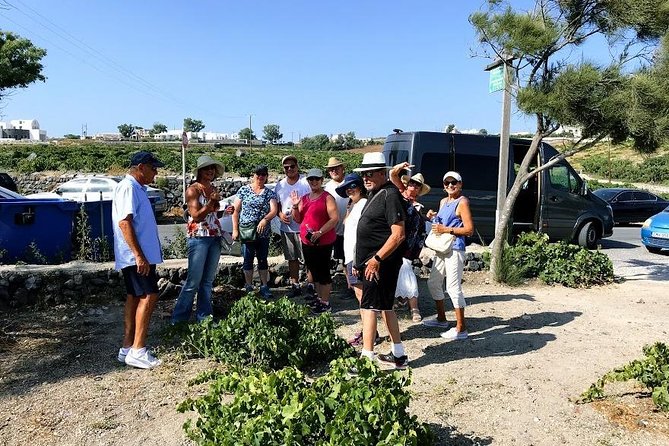 Santorini Half Day Wine Tasting & Winery Tour With Pickup - What to Expect