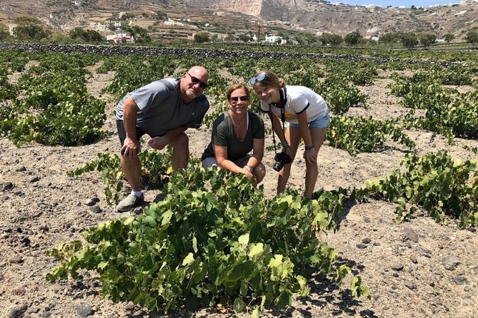 Santorini Highlights: 5-Hour Private Tour With Wine-Tasting - Guest Experience and Reviews