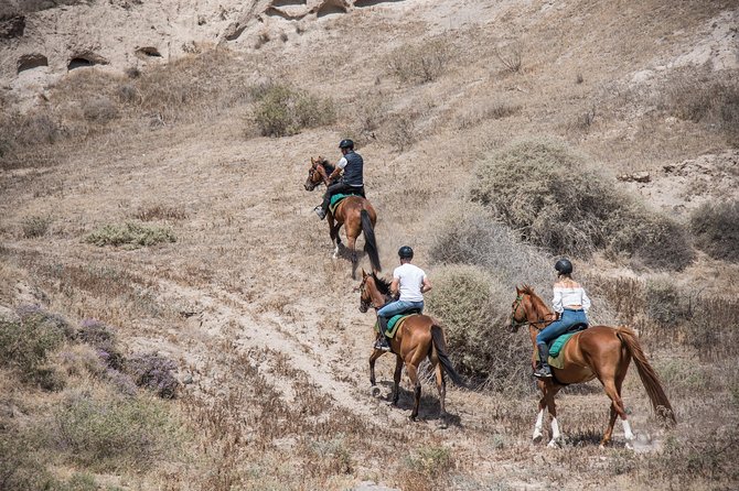 Santorini Horse Riding to Black Sandy Beach - Booking and Practicalities