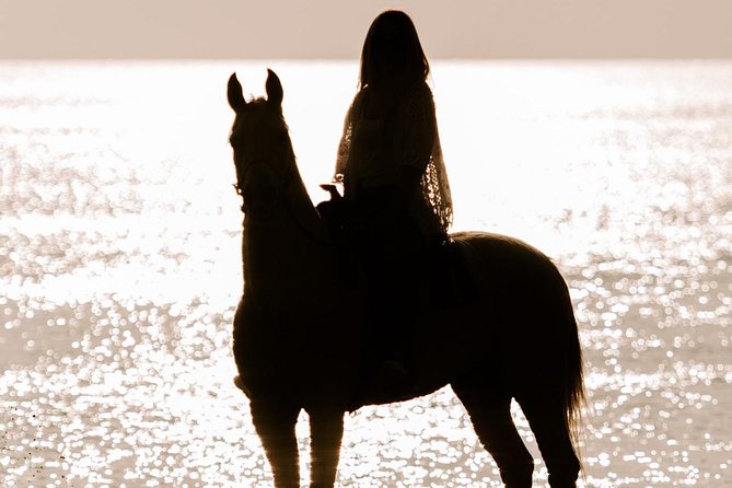 Santorini Horse Riding to Eros Beach Review - Location and Group Size