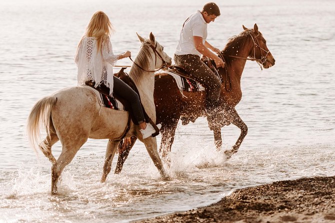 Santorini: Horse riding to the Black Sandy Beach (Eros beach) - Group Sizes and Comfort