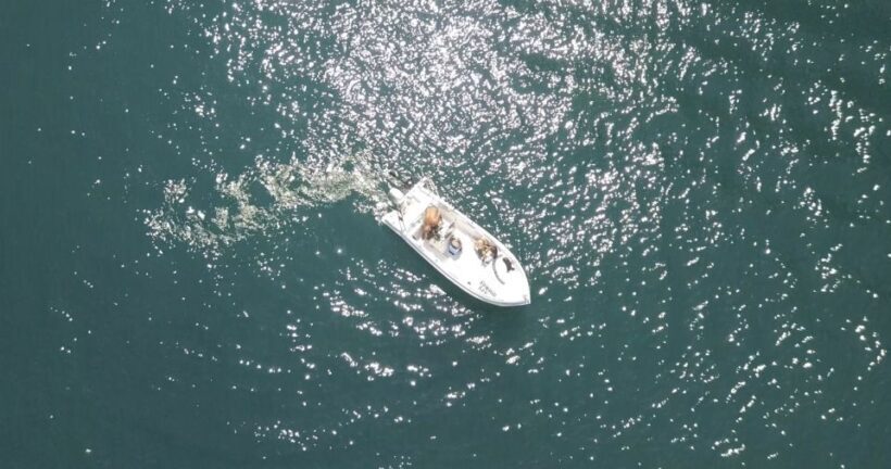 Santorini: License-Free Boat Rental with Snorkeling Gear - The Sum Up