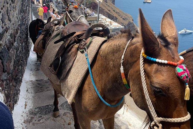 Santorini: Local Life Full Day Tour - Pickup and Meeting Details