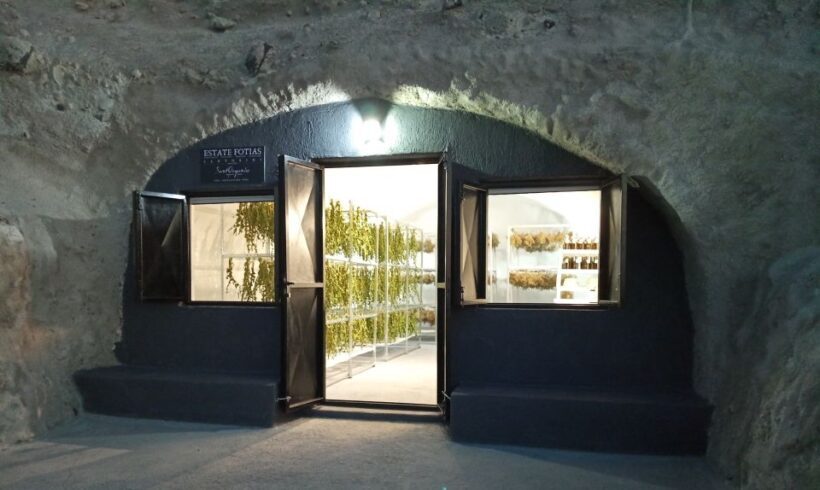 Santorini: Private Agri-Educational Visit to an Organic Farm - Key Points