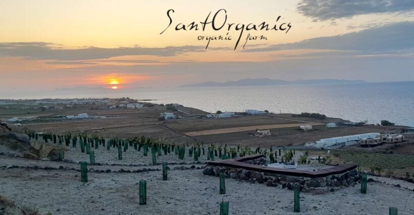 Santorini: Private Agri-Educational Visit to an Organic Farm - Practical Details: What to Know Before You Book