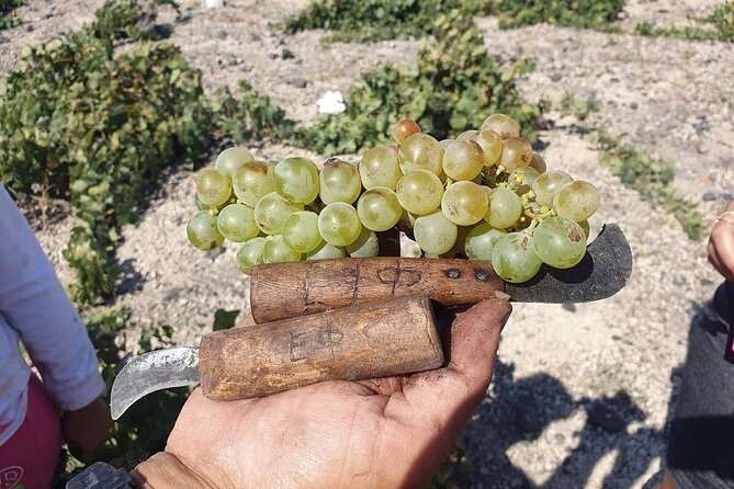 Santorini Private Highlights Tour & Wine Tasting With Local Guide - Personalizing Your Tour: Options and Flexibility