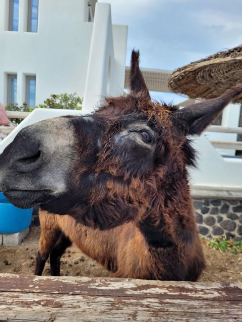 Santorini: Private Island Tour - Key Points
