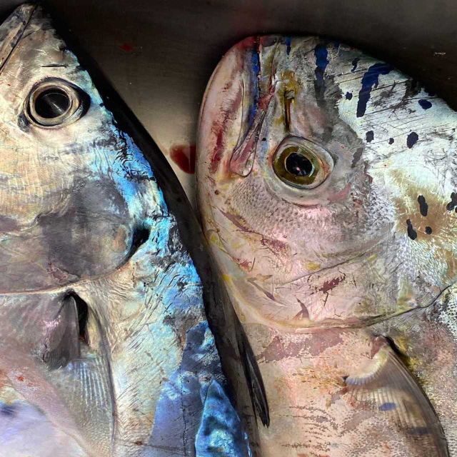 Santorini: Private Morning Deep Sea Fishing Boat Trip - Who Should Consider This Tour?