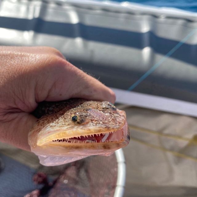 Santorini: Private Morning Deep Sea Fishing Boat Trip - FAQ