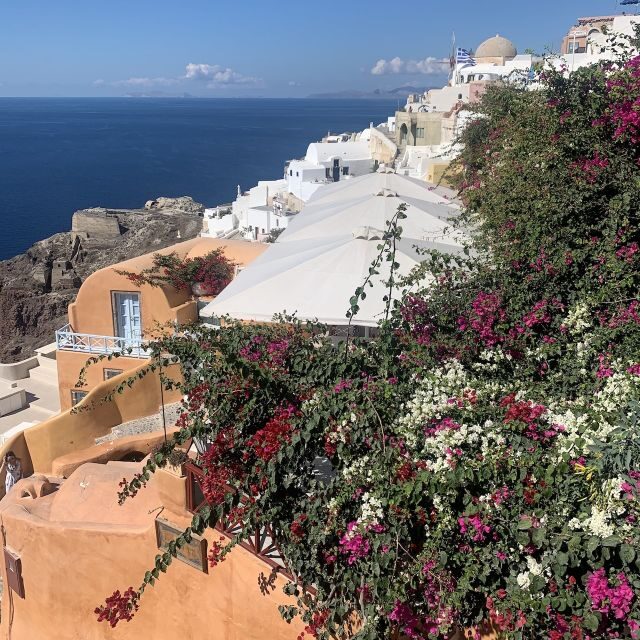 Santorini: Private Sightseeing Tour - Who Will Love This Tour?