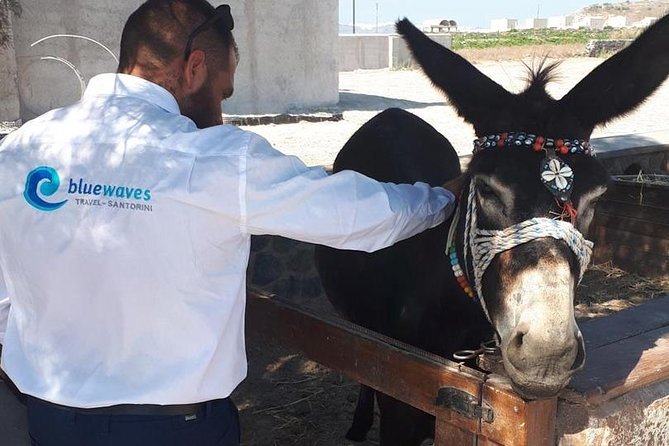 Santorini Private Tour 3hours-Wine and Local Product Tasting - Exploring Santorinis Scenic Landscapes