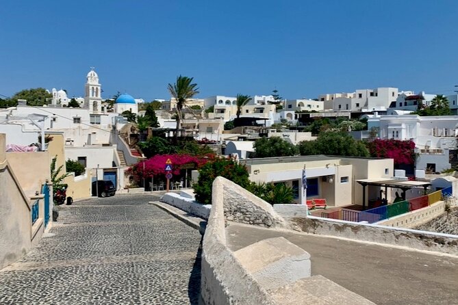 Santorini Private Tour From Athens: Sightseeing & Wine Tasting - Discovering Santorinis Distinctive Wines