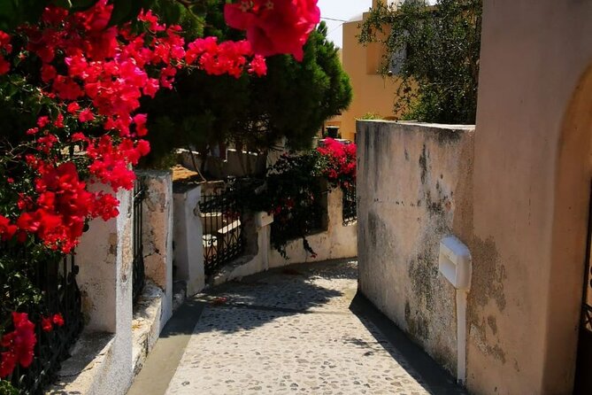 Santorini Private Tour Highlights 6h for Groups and Families - Accessibility and Participation