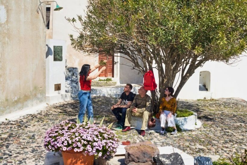Santorini: Private Vistas Morning Hike inc. tastings - Price and Value