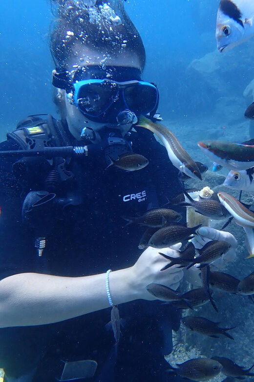 Santorini: Scuba Diving - Is This Tour Worth It?