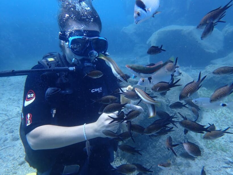 Santorini: Scuba Diving - Final Thoughts