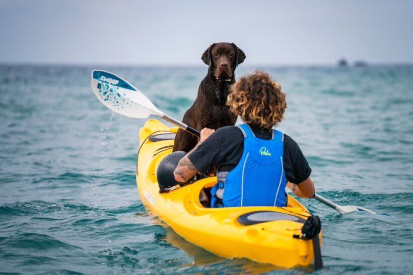 Santorini: Sea Caves Kayak Trip with Snorkeling and Picnic - In-Depth Analysis of the Experience