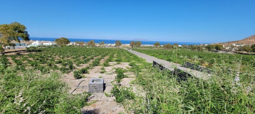 Santorini: Three Wineries and One Brewery Tour with Tastings - A Practical Look at the Experience