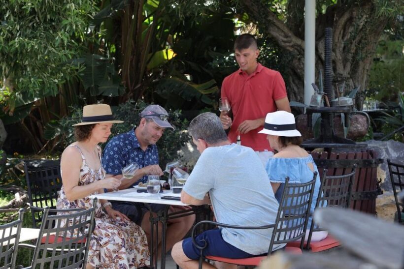 Santorini: Tour of Wineries with Wine Tasting & Food - Tasting and Food Pairings