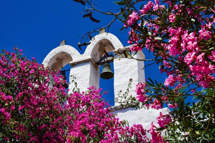 Santorini Tour : Oia, Black Beach, and Pyrgos Half-Day Tour - In-Depth Review of the Tour Experience