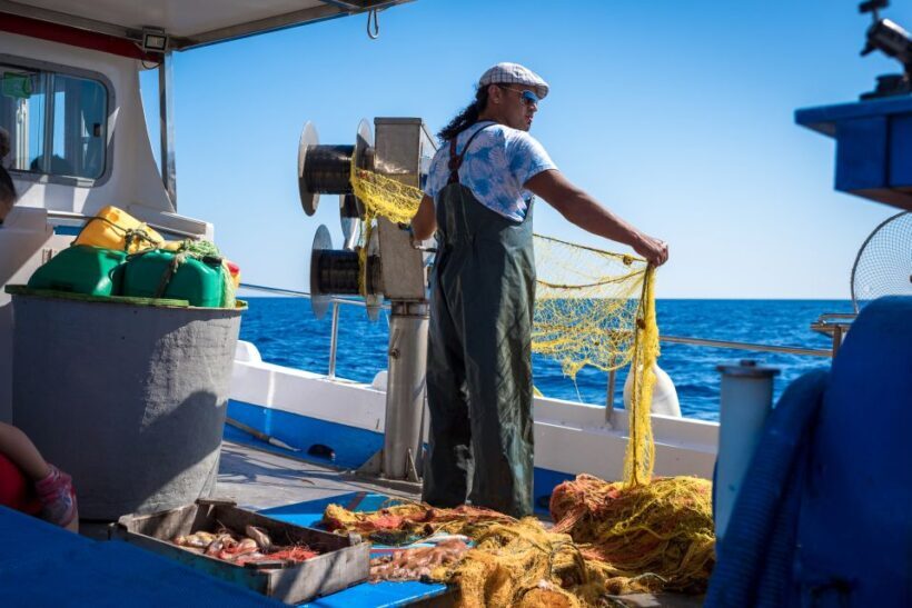Santorini: Traditional Fishing Trip and Fresh Fish Lunch - Final Thoughts: Is It Worth It?