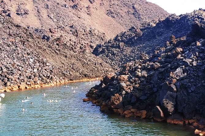 Santorini Volcanic Islands Cruise: Volcano, Hot Springs and Thirassia - Booking Information and Cancellation Policy