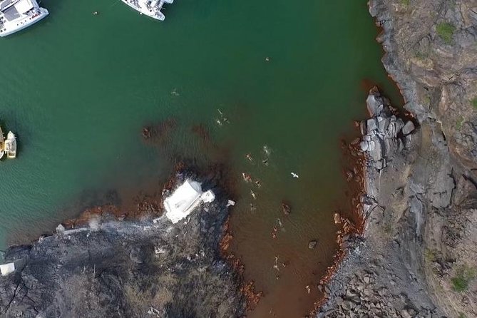 Santorini Volcano Tour - Weather Considerations and Cancellations