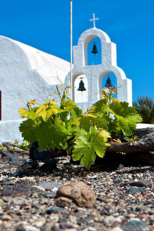Santorini Wine Experience: Daytime Tour - The Itinerary: A Closer Look