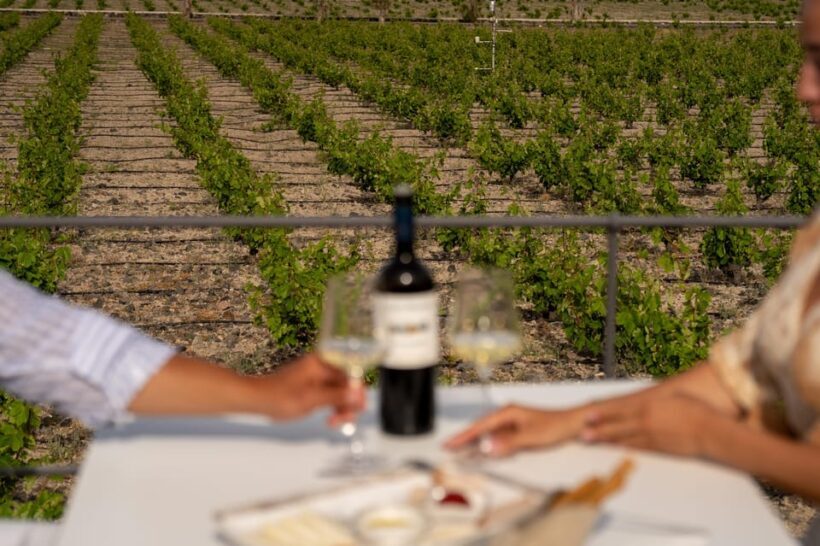Santorini: Wine O' Clock - Wine Tasting Private Tour - What You Can Expect from the Tasting Experience