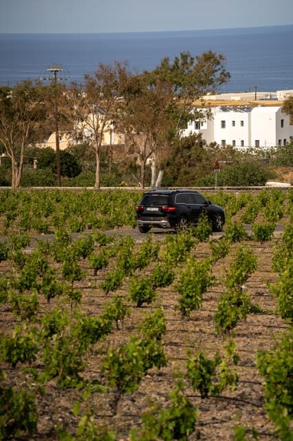 Santorini: Wine O' Clock - Wine Tasting Private Tour - Price & Value