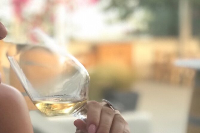 Santorini wine tasting and Traditional Cave Settlement Tour - Key Points