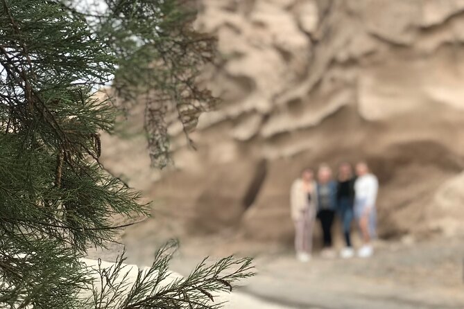 Santorini wine tasting and Traditional Cave Settlement Tour - The Practicalities: What You Should Know