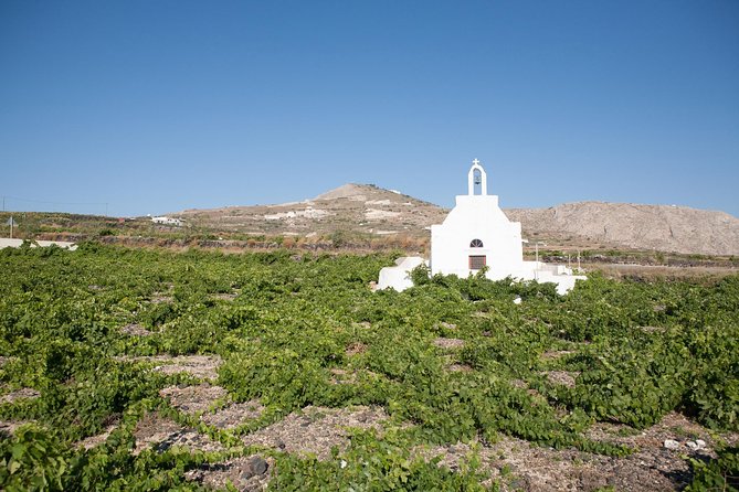 Santorini Wine Tour: Taste 12 Best Wines & 3 Beers With Pairings - Additional Information