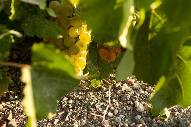 Santorini Wine Tour: Taste 12 Best Wines & 3 Beers With Pairings - Brewery Experience