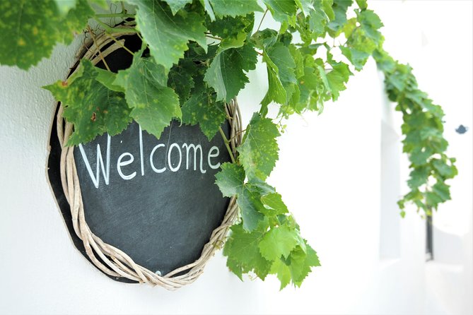 Santorini Wine Tour With 10 Wine Tastings and Oia Sunset - Inclusions and Transportation