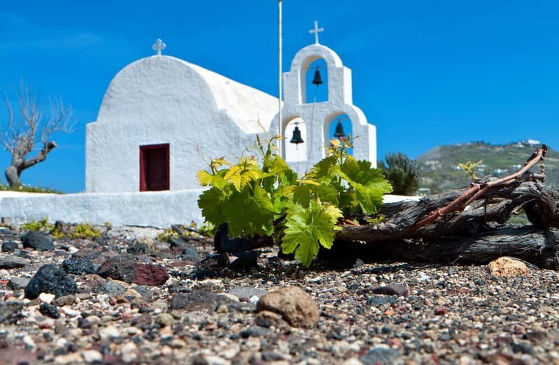 Santorini's "Wine Roads": Wine Tasting Tour at 3 Wineries - Second Stop: Estate Argyros