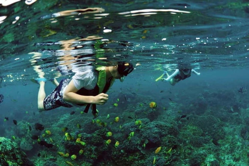 Sanur Bali: Snorkeling Tour Experience with Hotel Transfer - Key Points