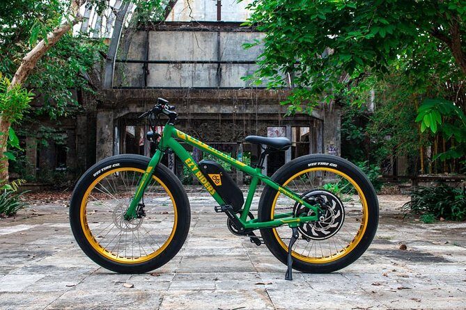 Sanur Beach eBike Private Tour - The Realities of the Experience