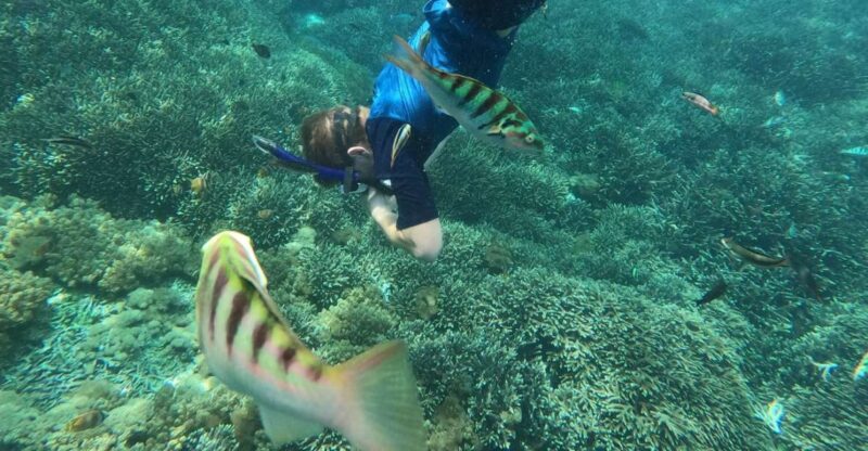 Sanur: Coastal Area Snorkeling Session - What You Can Expect from the Tour