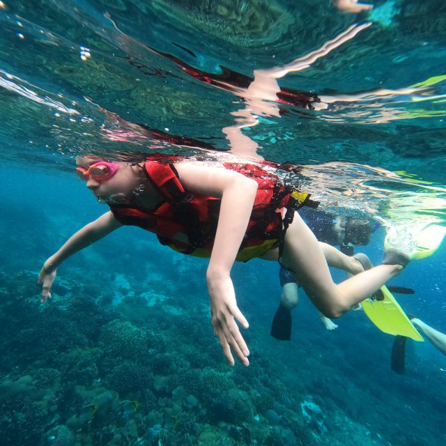 Sanur: Coastal Area Snorkeling Session - Who Should Book This Tour?