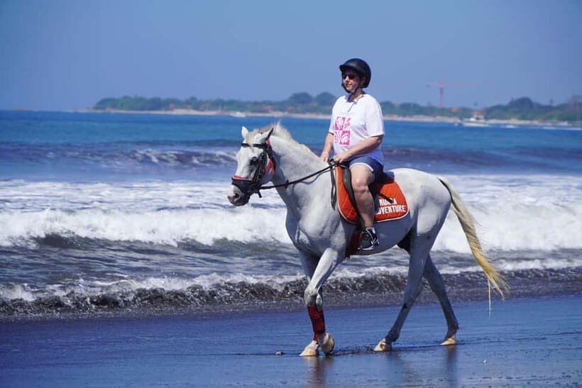 Sanur: Horse Riding at the Bali Beach 30 minute ride - Key Points