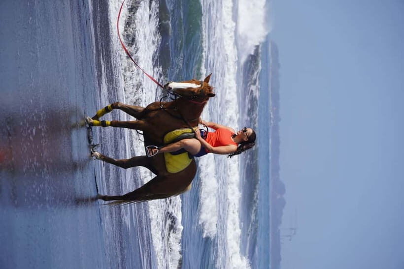 Sanur: Horse Riding at the Bali Beach 30 minute ride - The Experience Provider and Similar Tours