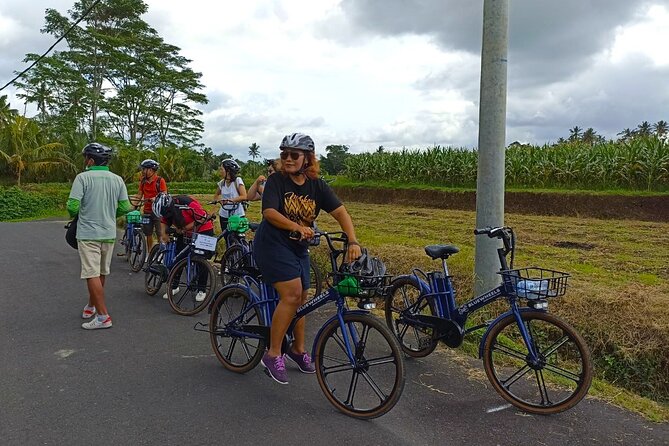 Sanur Village E-bike Tour: Family-Friendly Adventure - The Sum Up