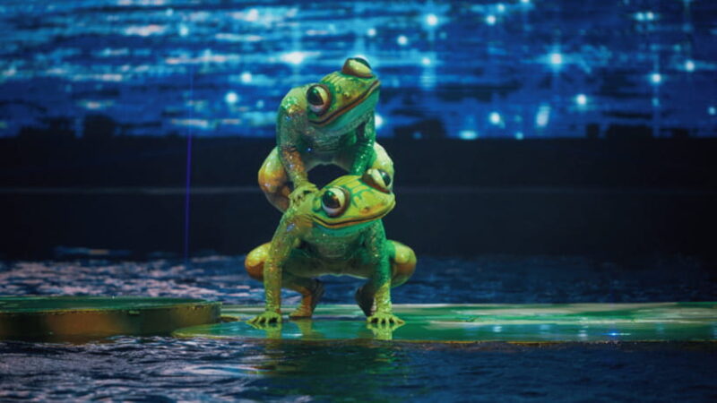 Sanya: Atlantis C Show Performance - Key Points