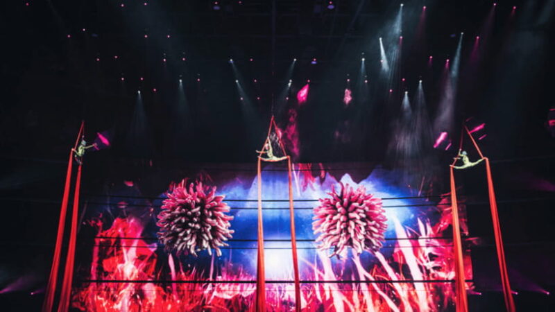 Sanya: Atlantis C Show Performance - FAQ