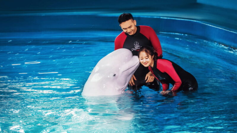 Sanya: Atlantis Lost Chambers Aquarium - What Makes It Special?