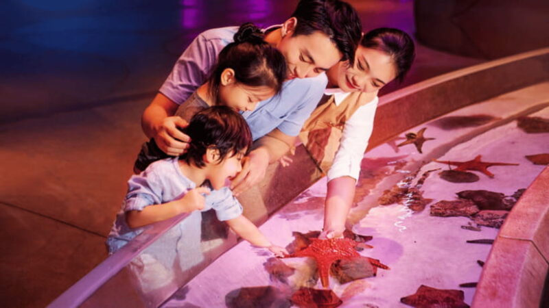 Sanya: Atlantis Lost Chambers Aquarium - The Sum Up